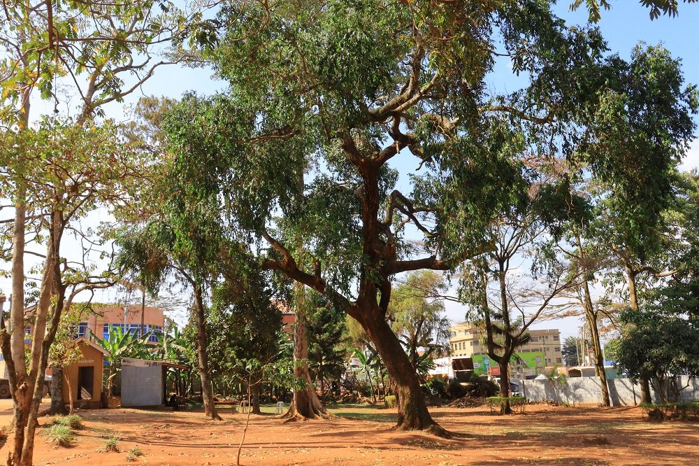 Urban Change Fund | Invest in Urban Transformation | UCOID